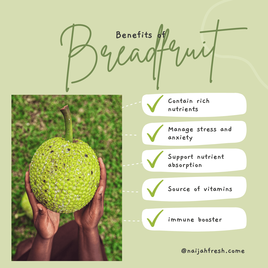 Is Breadfruit Good for Weight Loss? Benefits of Breadfruits - NaijahFresh